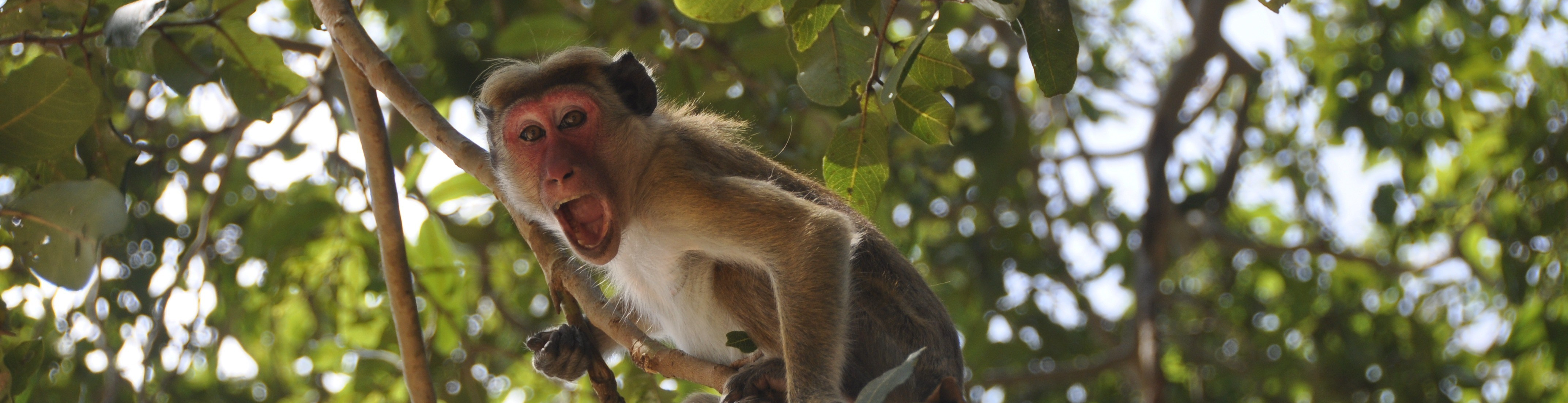 Appsec isn’t people – Open Source Security